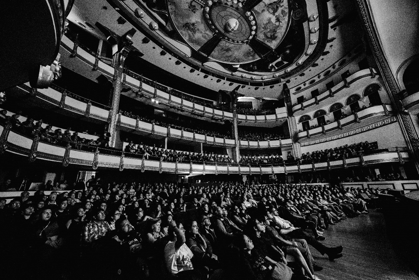 #2019: Así fue nuestro año macabro | Macabro : Macabro